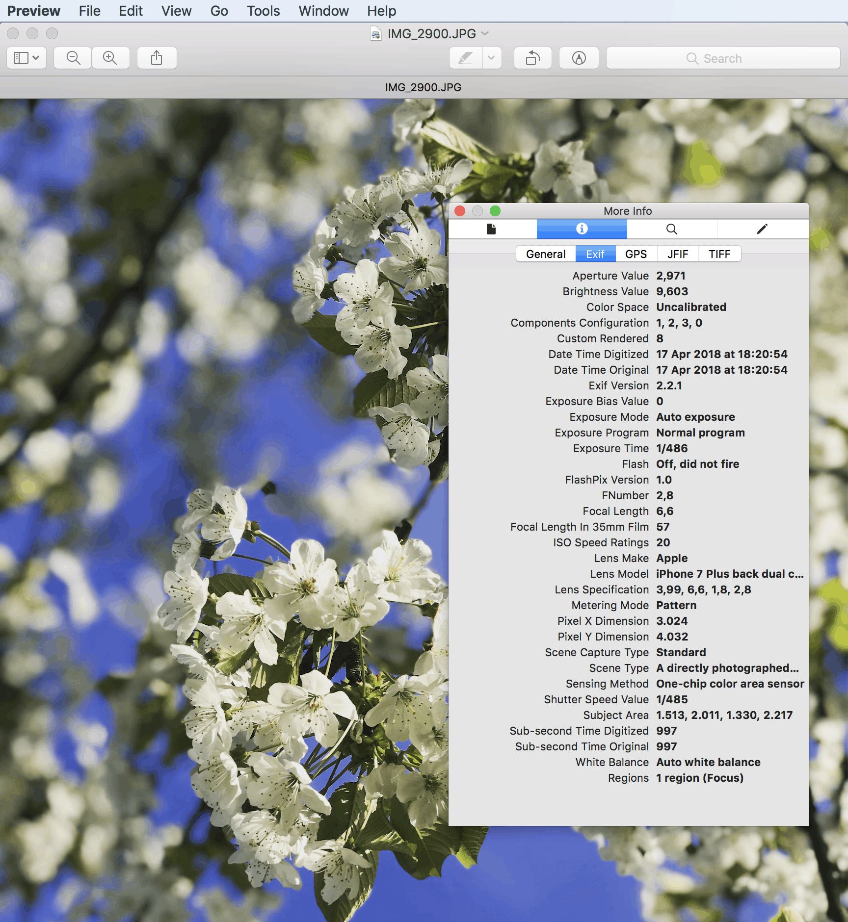 Date Taken, Date Created, Date Modified: What's the Difference? A ...