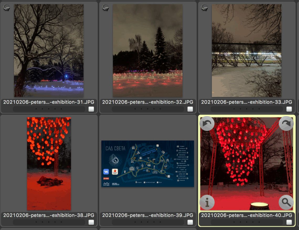Photo Mechanic Basics to Speed Up Your Photo Organizing Workflow